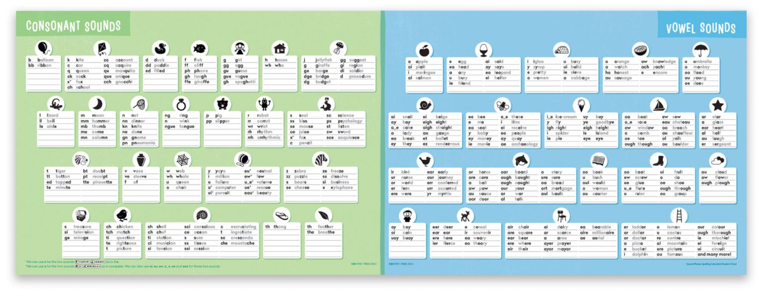 Sound Waves Extended Student Chart – Firefly Education Store